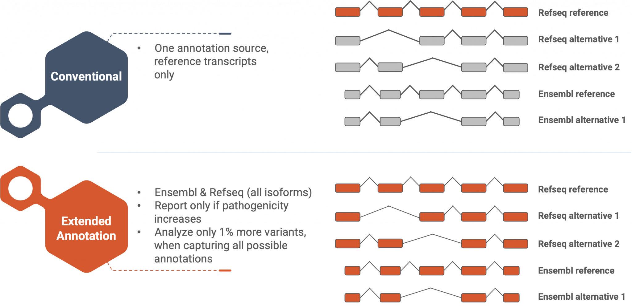 SEQ's Extended Annotation: A Solution For Alternative Isoforms In NGS Data Analysis